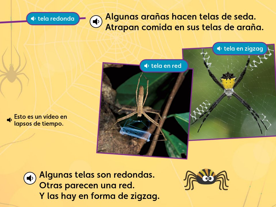Spiders at Work 5 - Scout Noviembre/Diciembre 2020