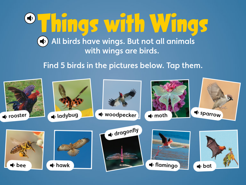 Things with Wings - Scout October 2018