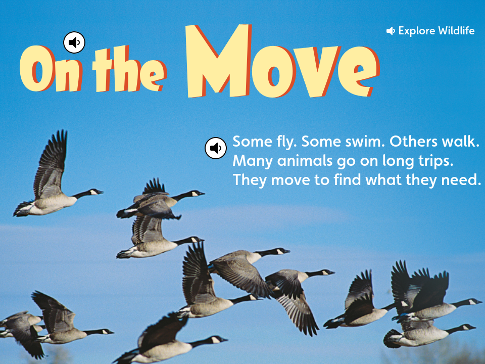 On the Move - Scout September 2018