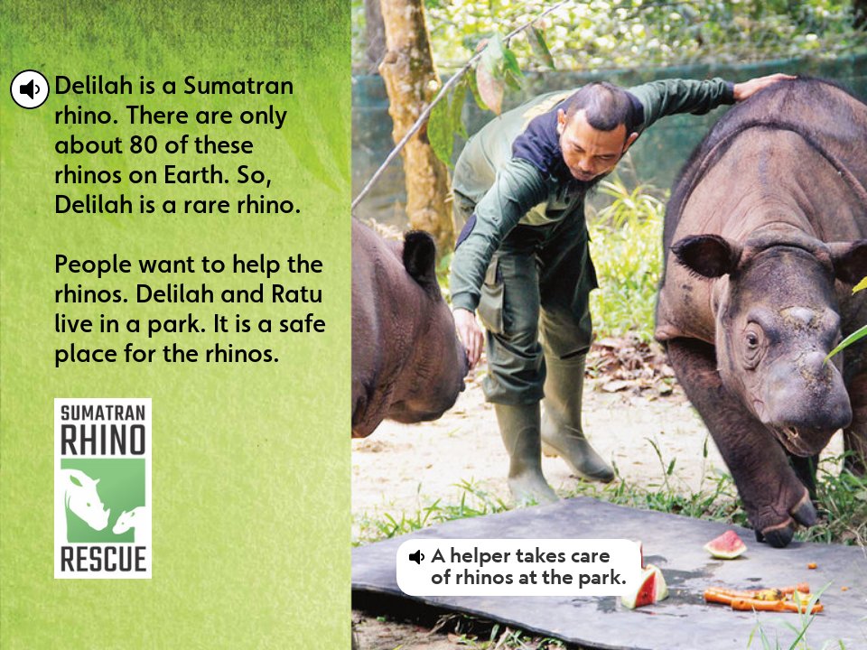 A Rare Rhino 8 - Scout September 2019