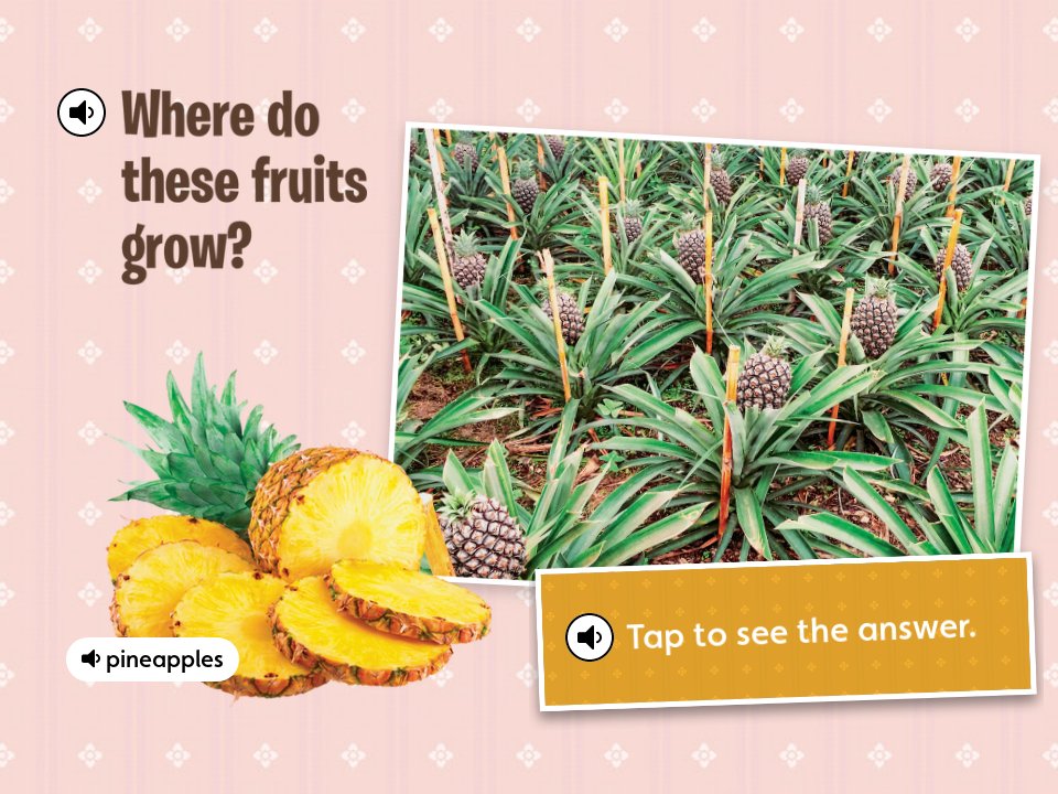 A Rare Rhino 4 - Scout September 2019