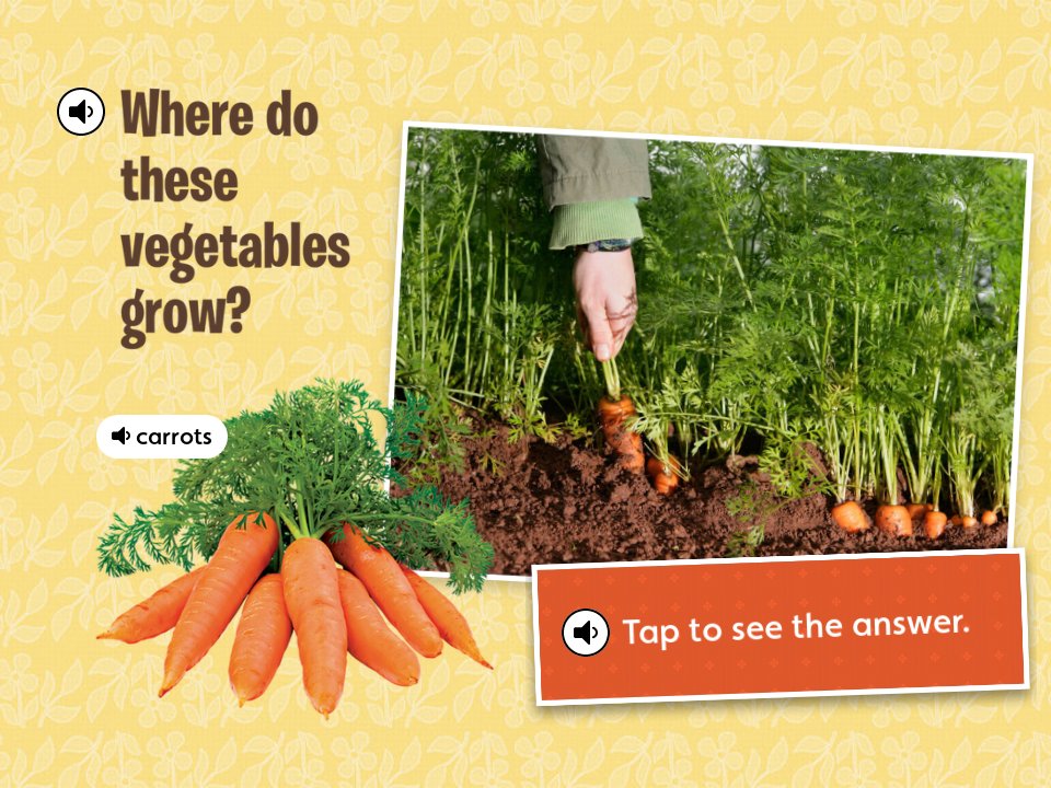 A Rare Rhino 4 - Scout September 2019