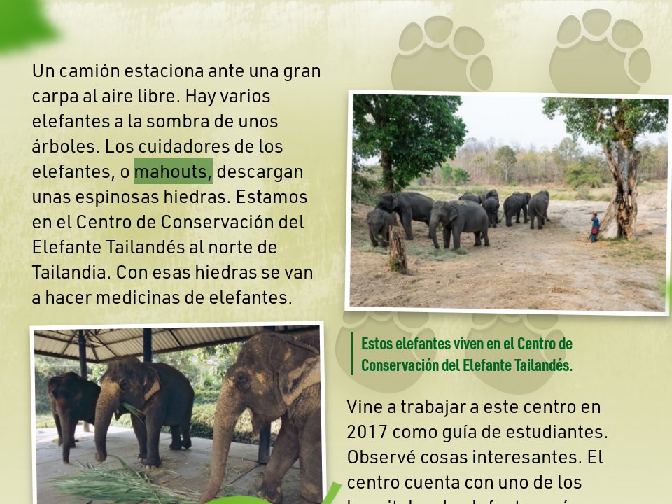 Sabiduría animal 2 - Trailblazer Abril 2021