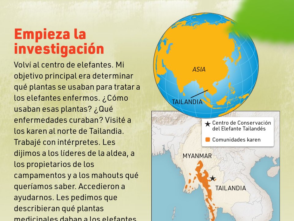 Sabiduría animal 3 - Trailblazer Abril 2021