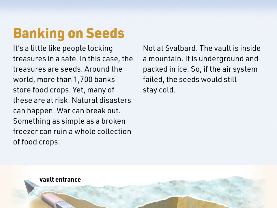 Banking on Seeds and Making a Deposit - Food for the Future ...