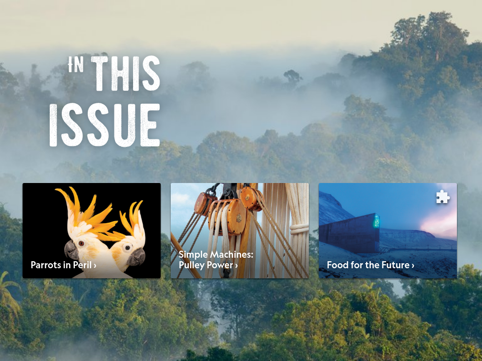 Parrots in Peril - Trailblazer April 2019