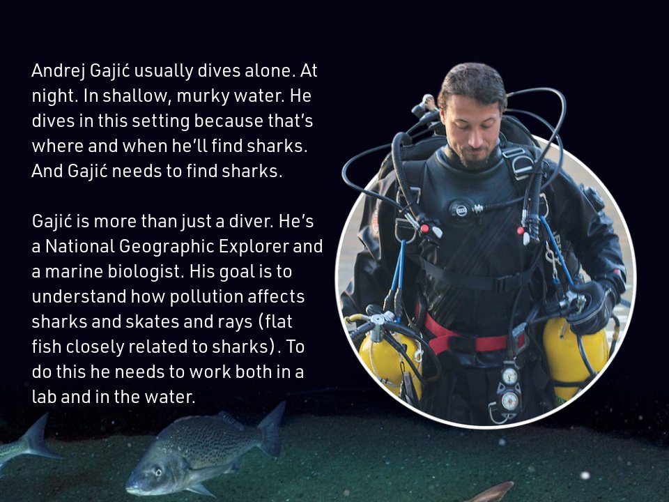 Shark Sightings ,Dangerous Waters & Under the Microscope - Ouf of the ...