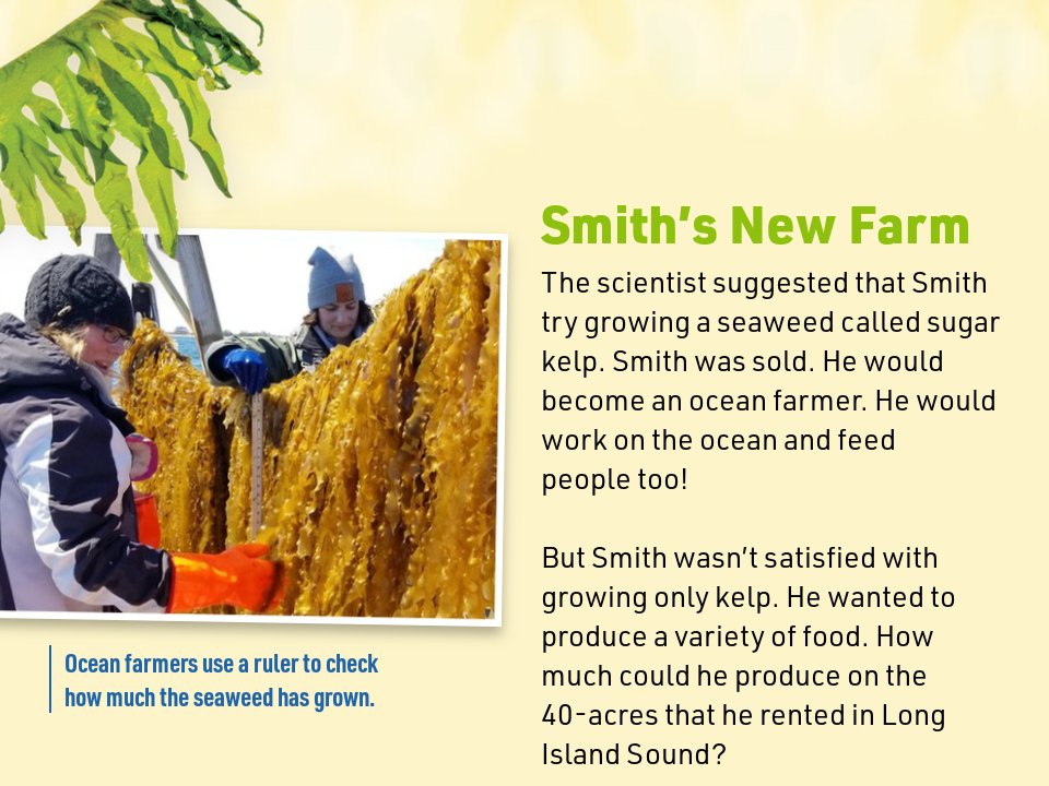 Smith’s New Farm, 3D Ocean Farming & How Do They Start? - Ocean ...