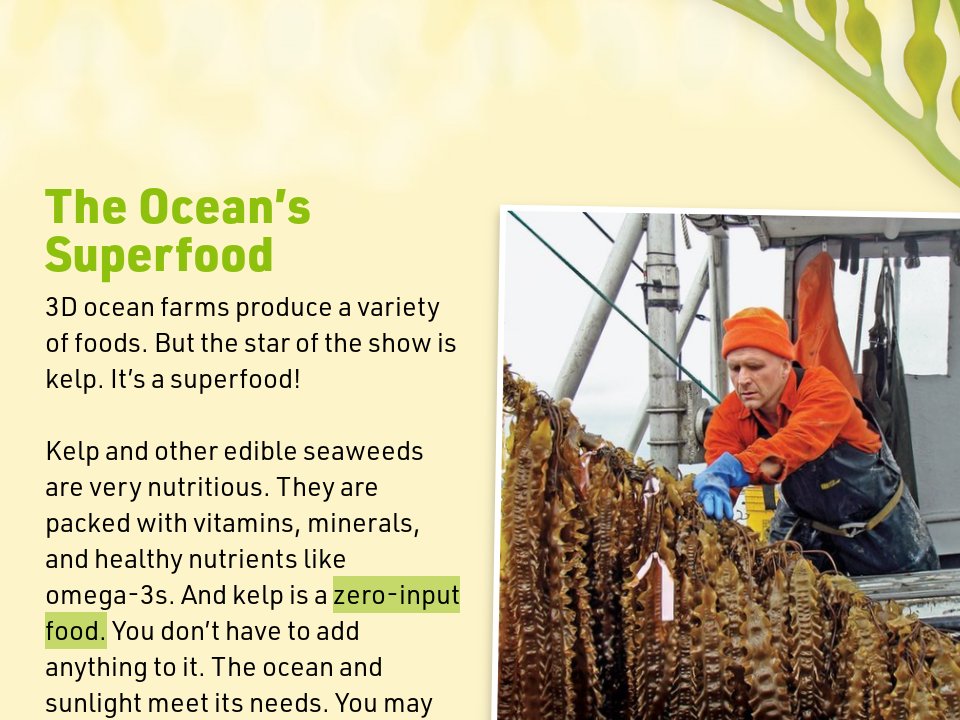 The Ocean’s Superfood & The Ocean’s Superfood - Ocean Supercrop ...