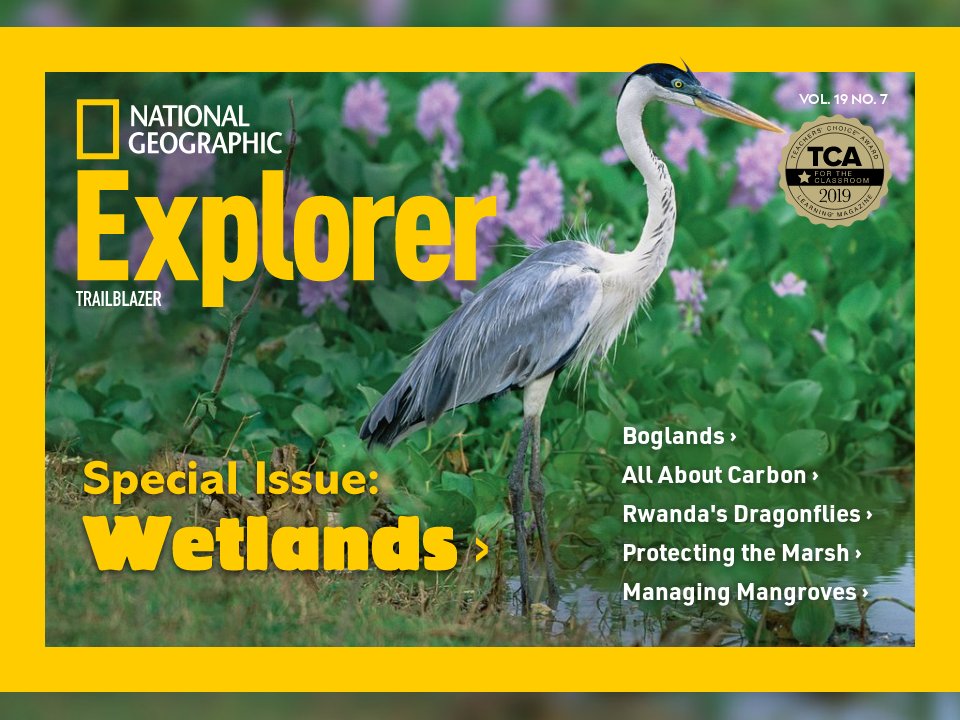 Trailblazer - Trailblazer May 2020