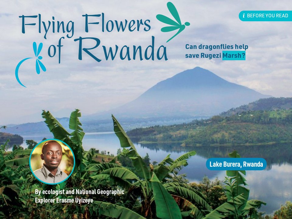 Flying Flowers of Rwanda - Trailblazer May 2020