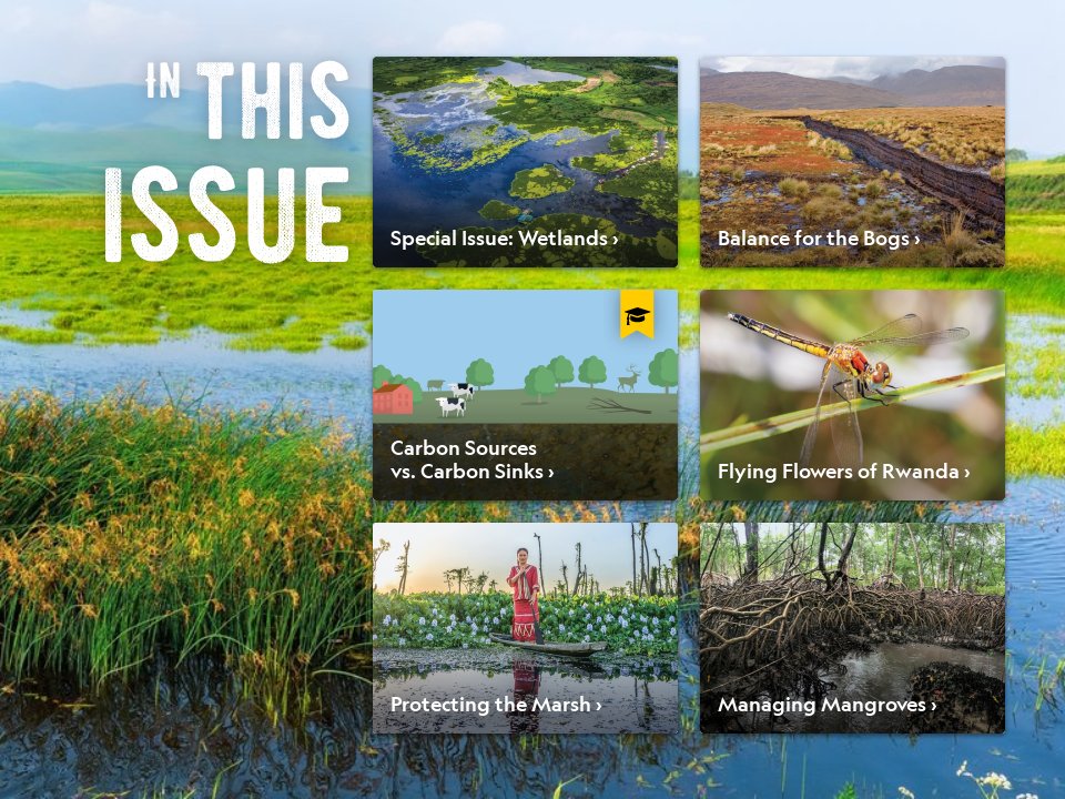 Storing Carbon, Where the Bogs Are & How Raised Bogs Form - Balance for ...