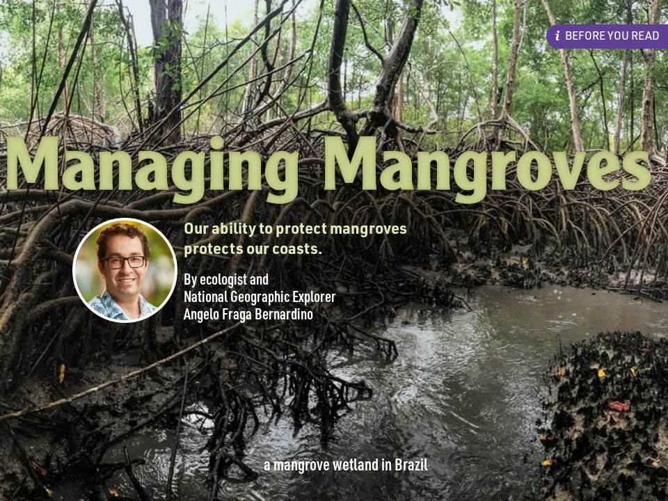 Marshland Dangers & Strength in Community - Protecting the Marsh ...