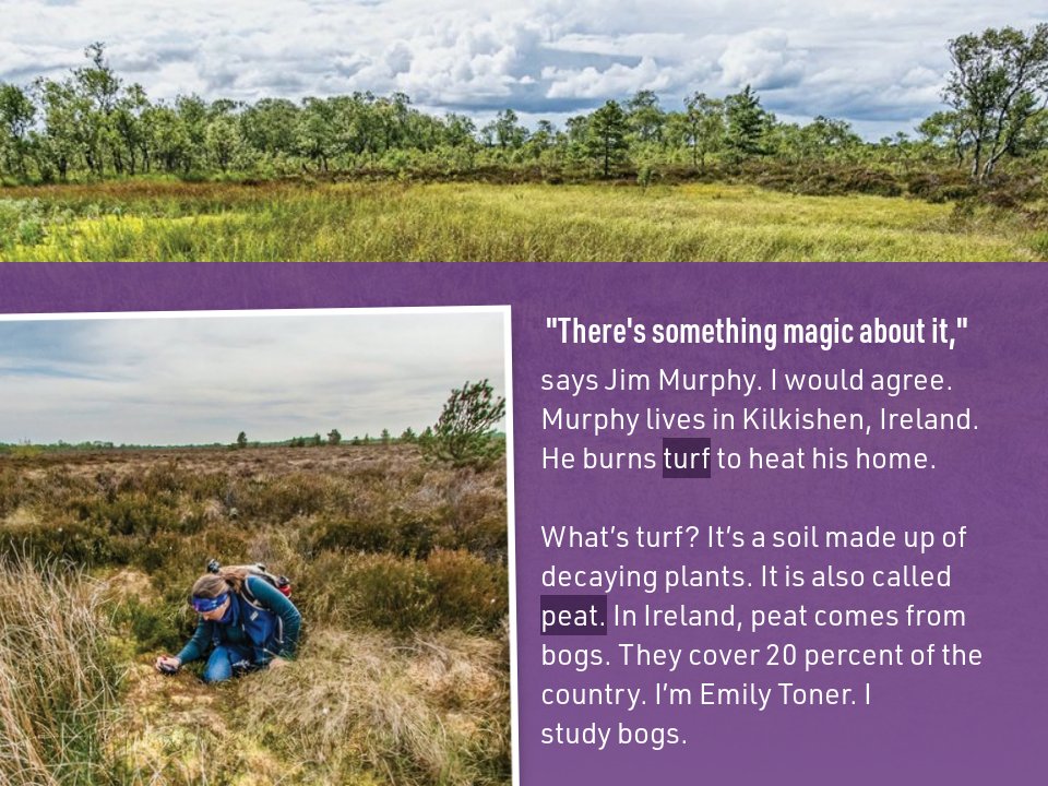 Storing Carbon, Where the Bogs Are & How Raised Bogs Form - Balance for ...