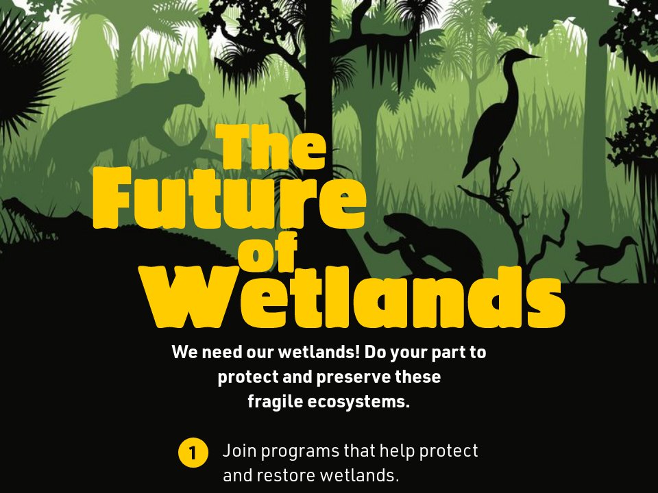 Storing Carbon, Where the Bogs Are & How Raised Bogs Form - Balance for ...