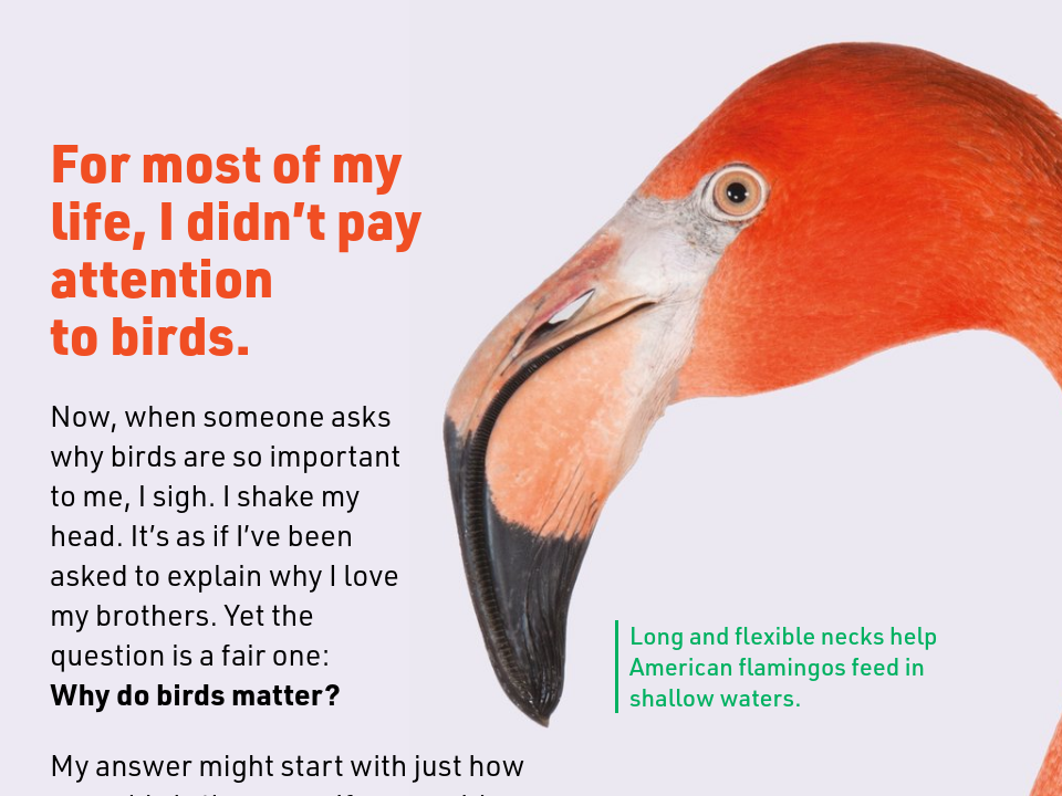 The Magic Behind Their Movement - Trailblazer October 2018