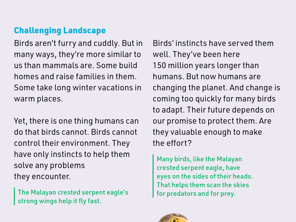 Why Birds Matter - Trailblazer October 2018