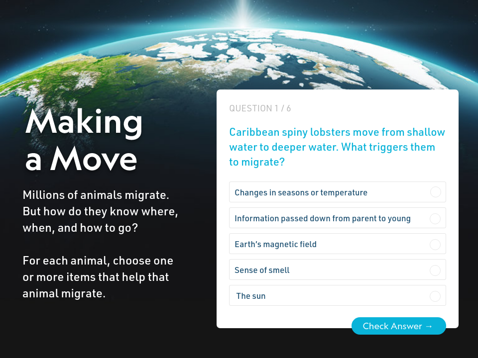 Crabs - The Magic Behind Their Movement - Trailblazer October 2018