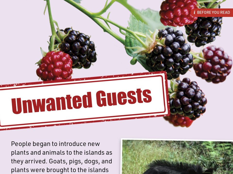 Unwanted Guests - Trailblazer October 2019