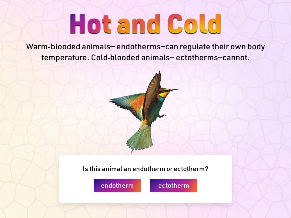 Endothermic Animals Warm Blooded