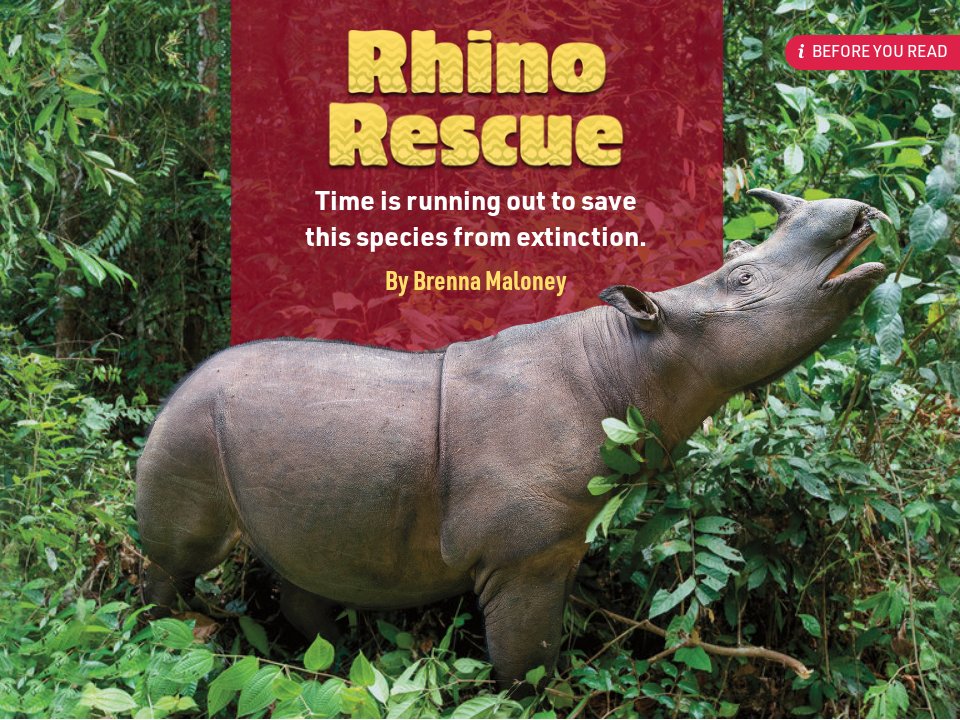 Rhinos in Trouble & A Rescue Plan - Rhino Rescue - Trailblazer September 2019
