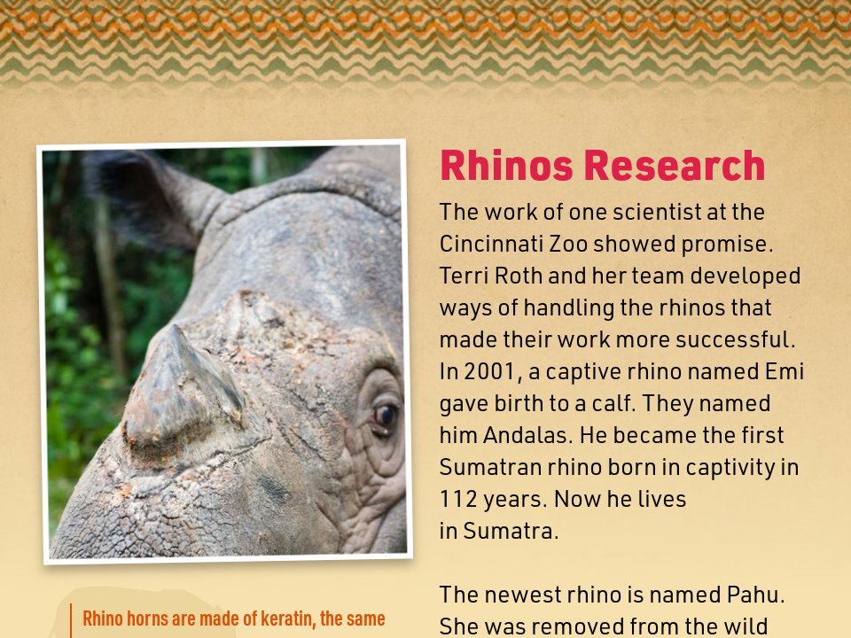 Rhinos Research & Pahu’s Rescue - Rhino Rescue - Trailblazer September 2019