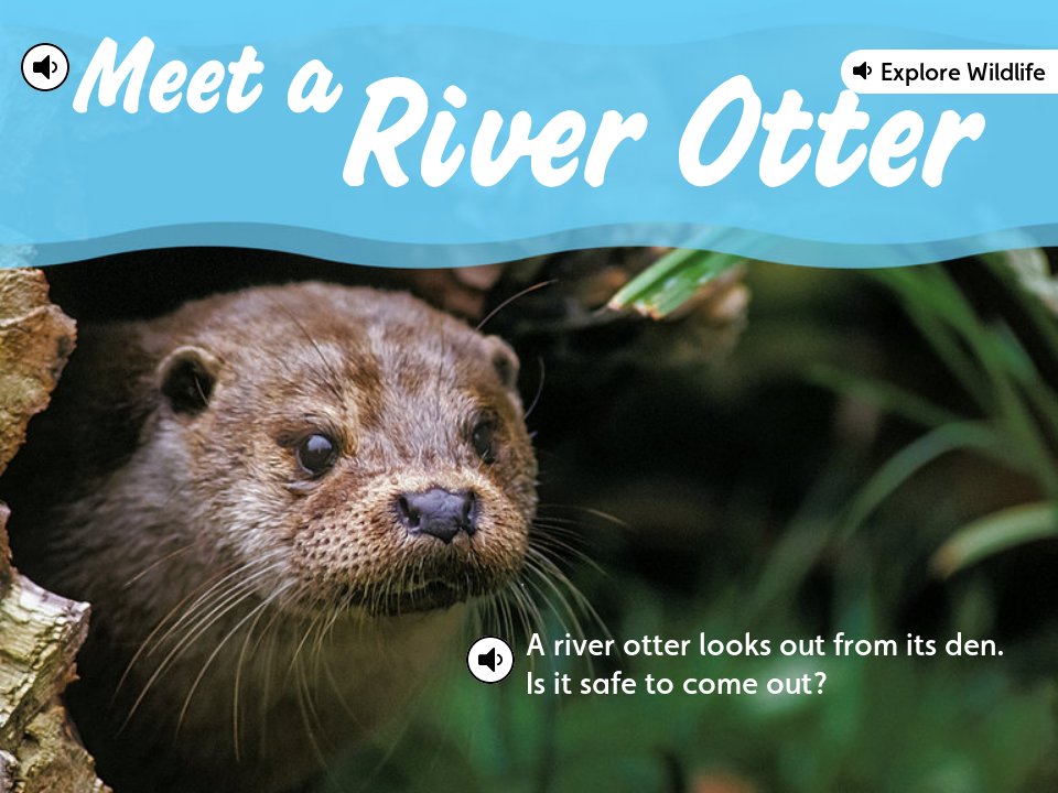 Hot Rocks 5 - Voyager April 2020