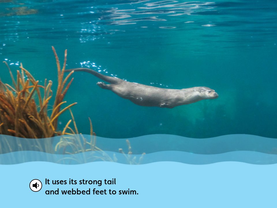 Hot Rocks 5 - Voyager April 2020