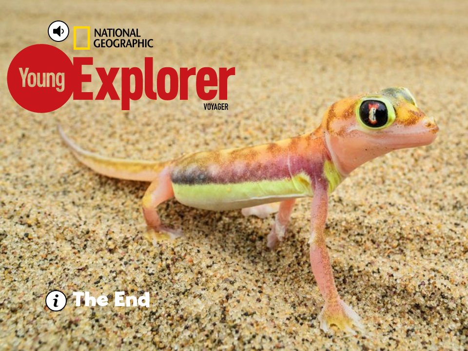 Colophon - Voyager April 2021