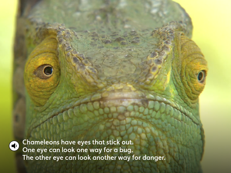 Making Sound 7 - Voyager January/February 2019