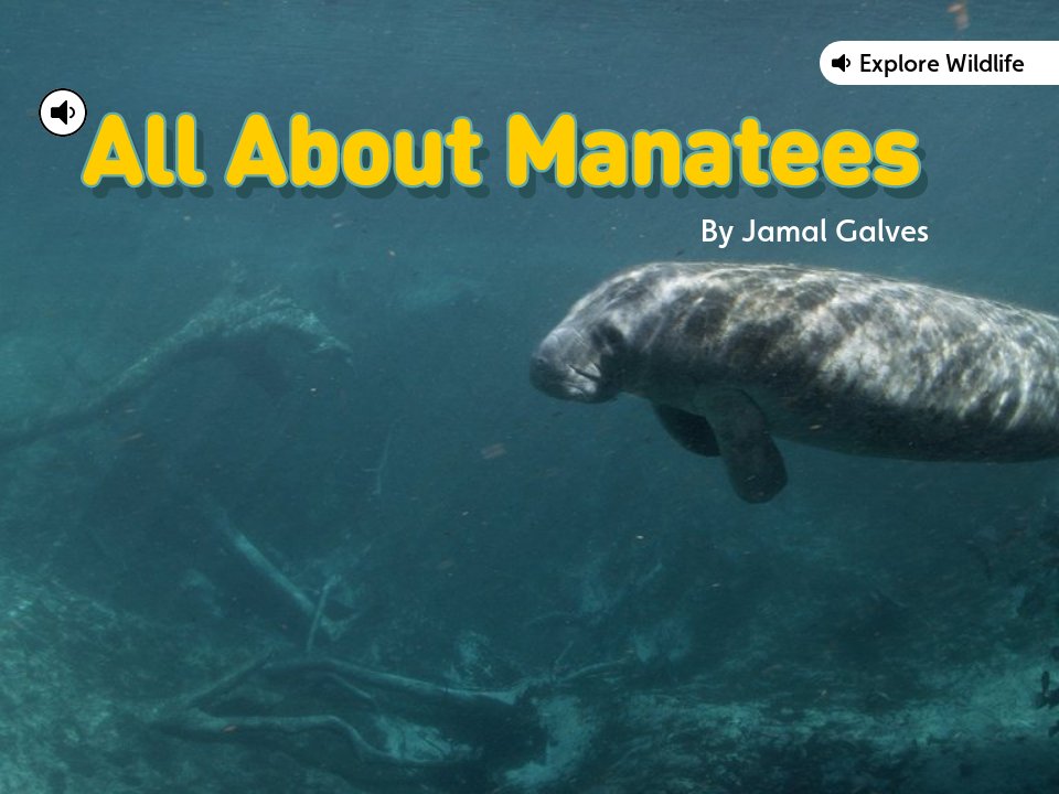 All About Manatees 2 - Voyager January/February 2020