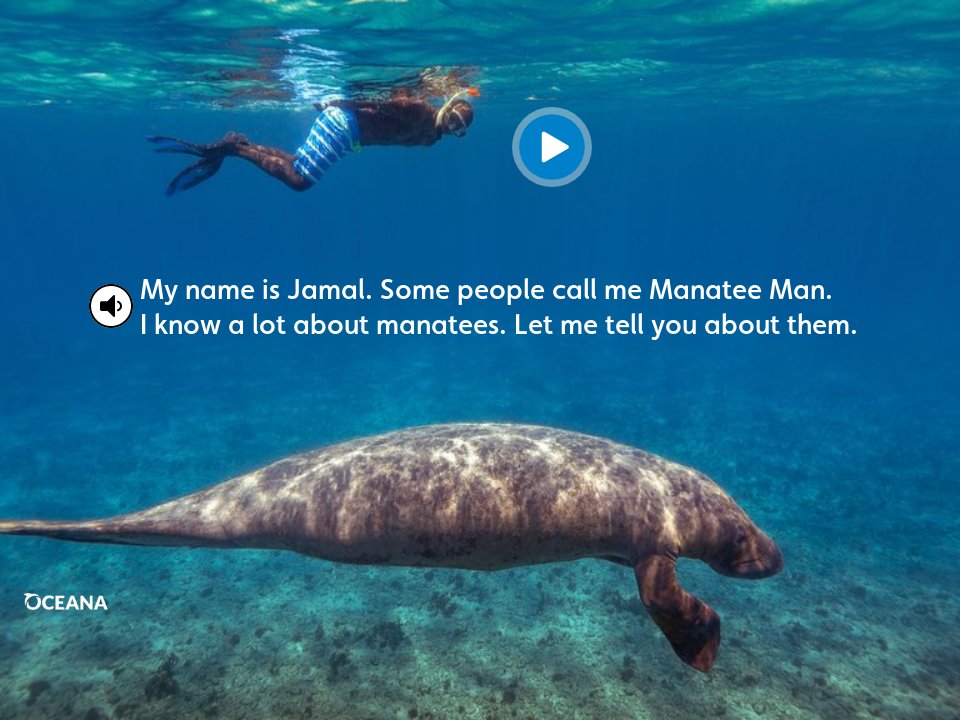 All About Manatees 2 - Voyager January/February 2020