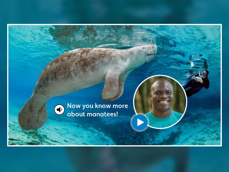 All About Manatees 2 - Voyager January/February 2020