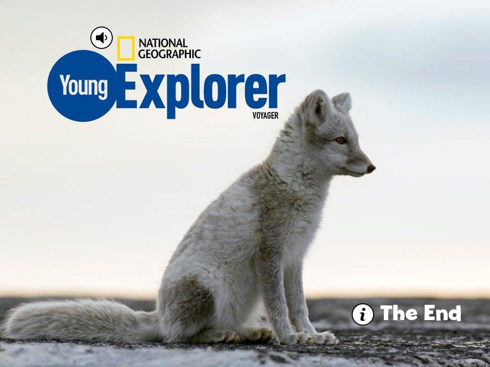 Flamingo Bob 1 - Voyager January/February 2021