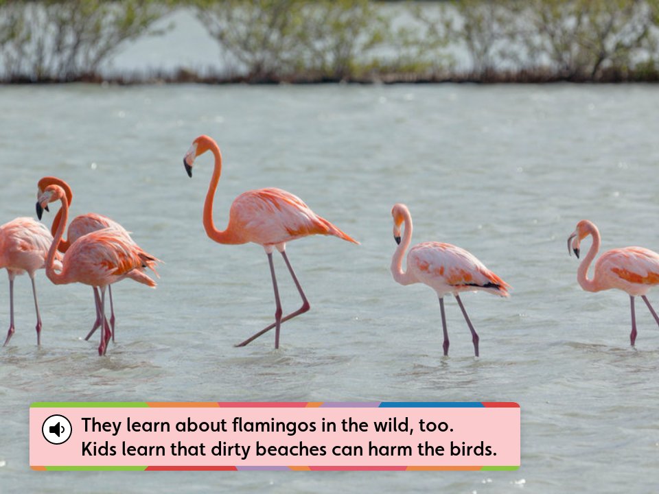 Flamingo Bob 7 - Voyager January/February 2021