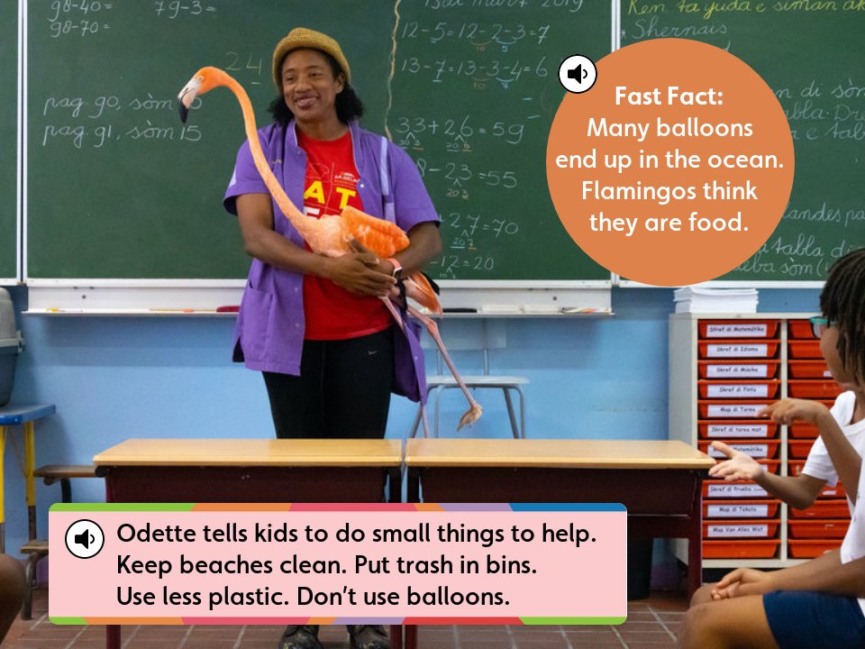 Flamingo Bob 4 - Voyager January/February 2021