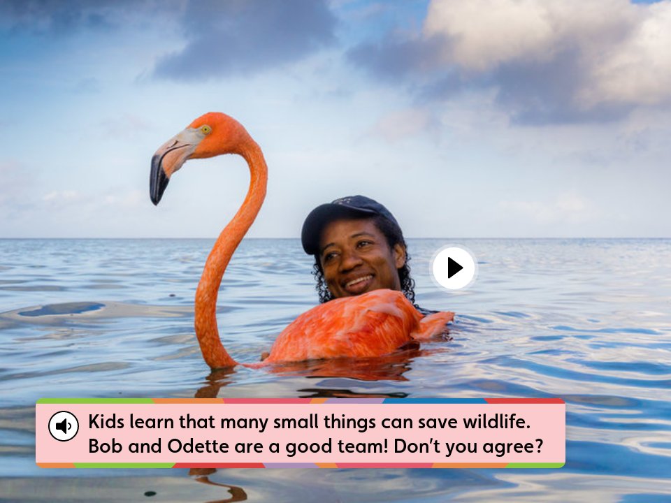 Flamingo Bob 1 - Voyager January/February 2021