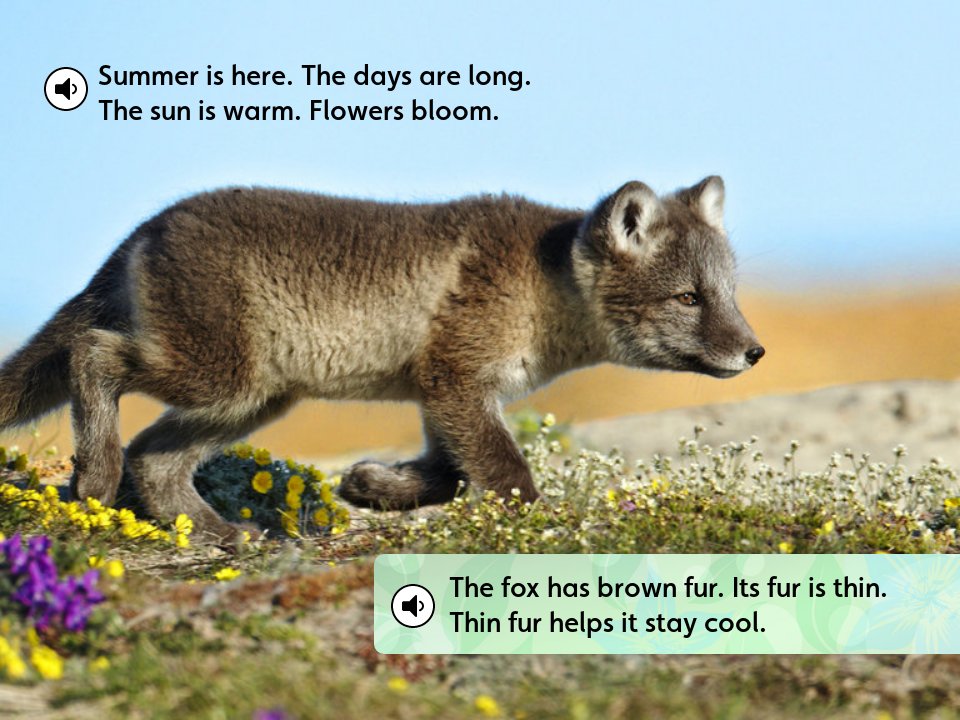 Seasons Change 2 - Voyager January/February 2021