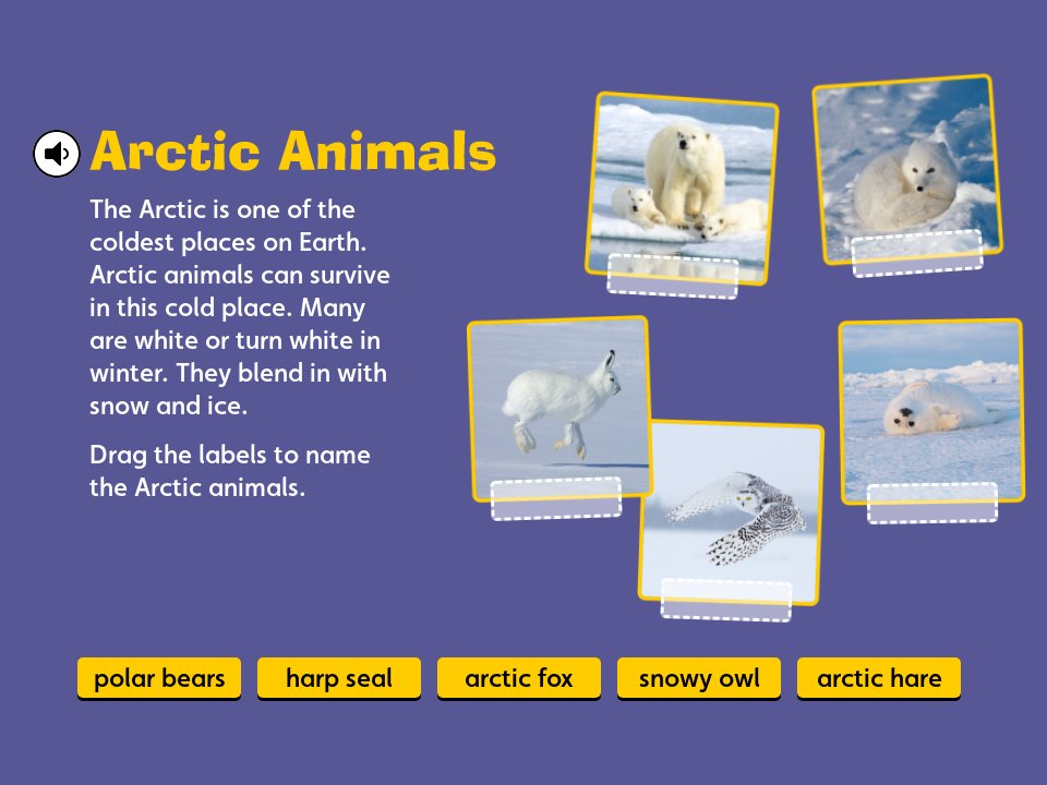 The Arctic Activity - Voyager January/February 2021