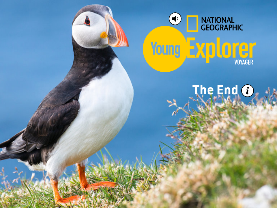 Puffin Parents - Voyager March 2019