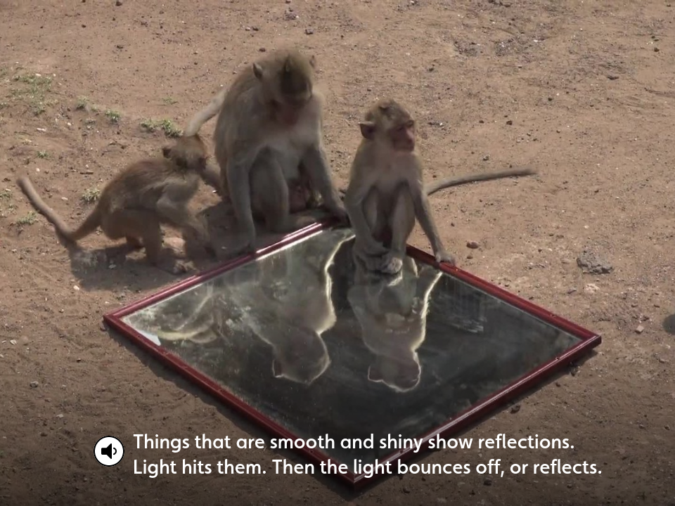 Mirror - Reflections - Voyager March 2019