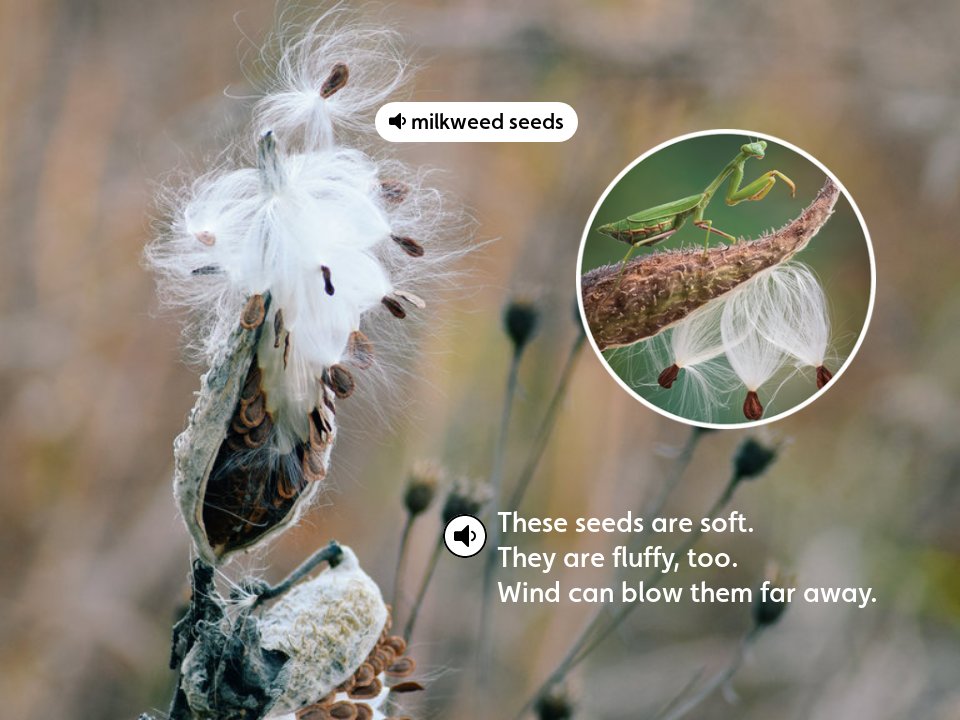 On the Move 2 - Voyager March 2020