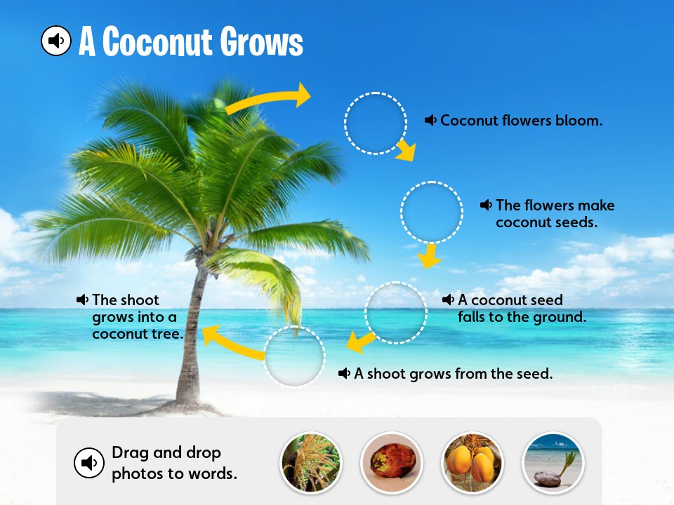 On the Move Activity - Voyager March 2020