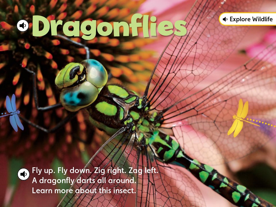 Dragonflies 2 - Voyager March 2021