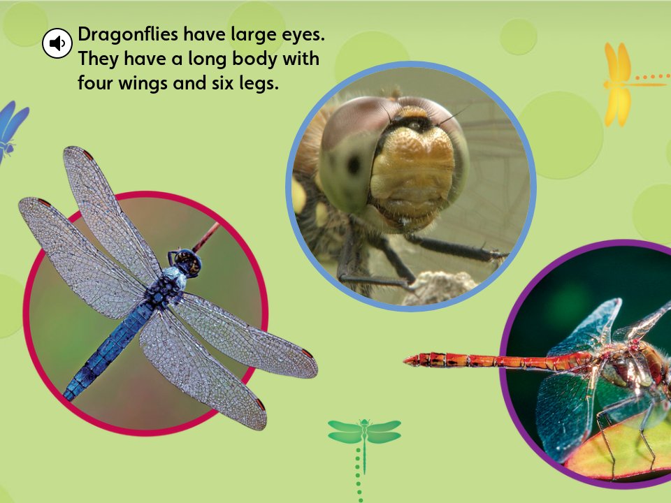 Dragonflies 2 - Voyager March 2021