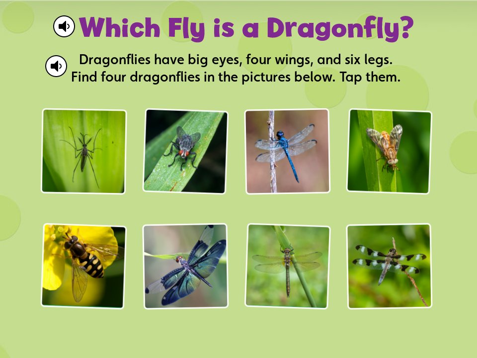 Dragonflies 5 - Voyager March 2021