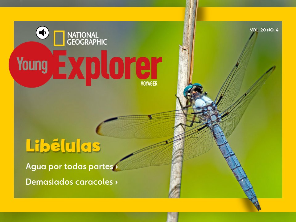 Dragonflies 4 - Voyager Marzo 2021