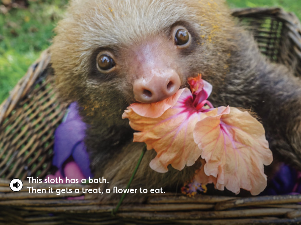 Explore Maps - Voyager May 2019