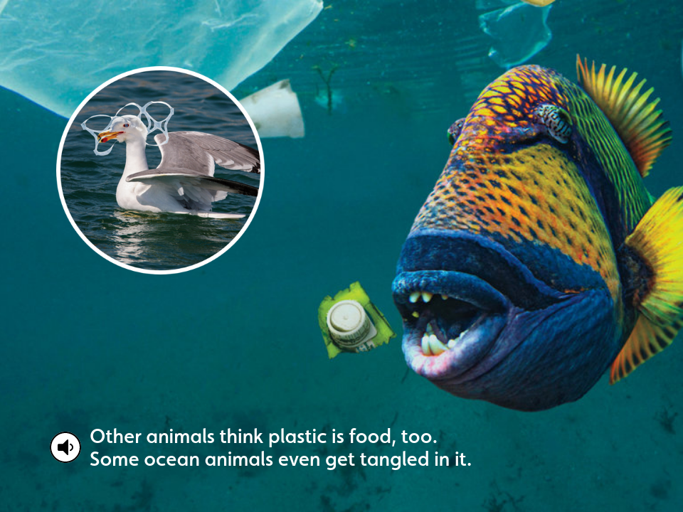 The Problem With Plastic - Jellyfish - Voyager May 2019