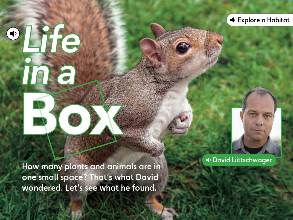 Life in a Box 1 - Voyager May 2020